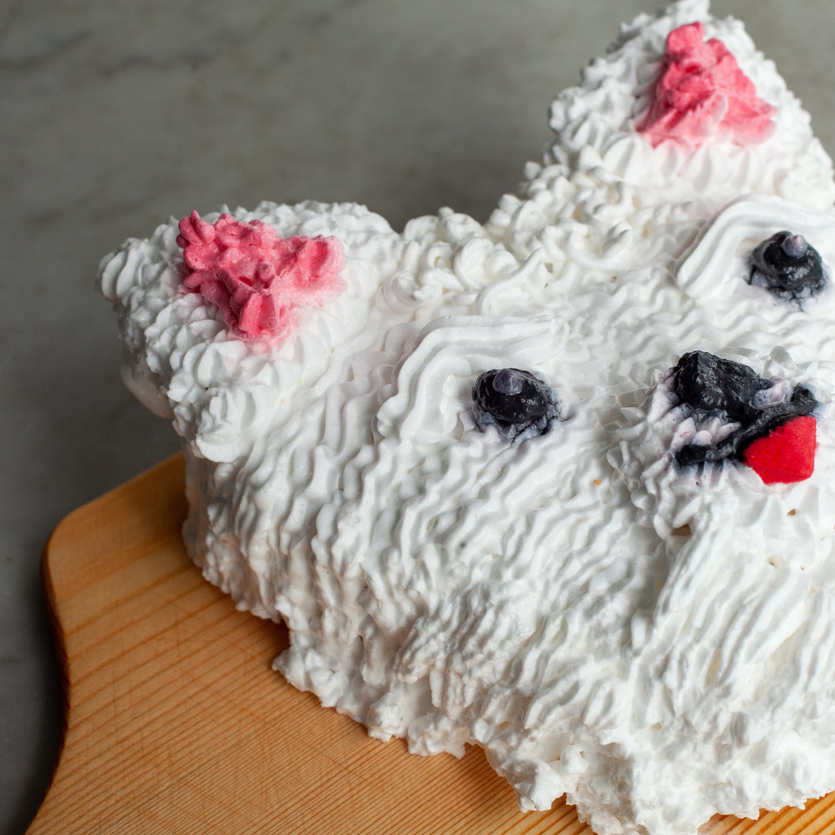 Jap Spitz – US Dog Bakery Pte. Ltd.